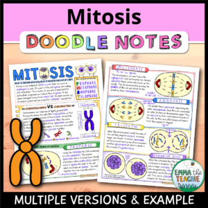 Mitosis Bundle Emmatheteachie