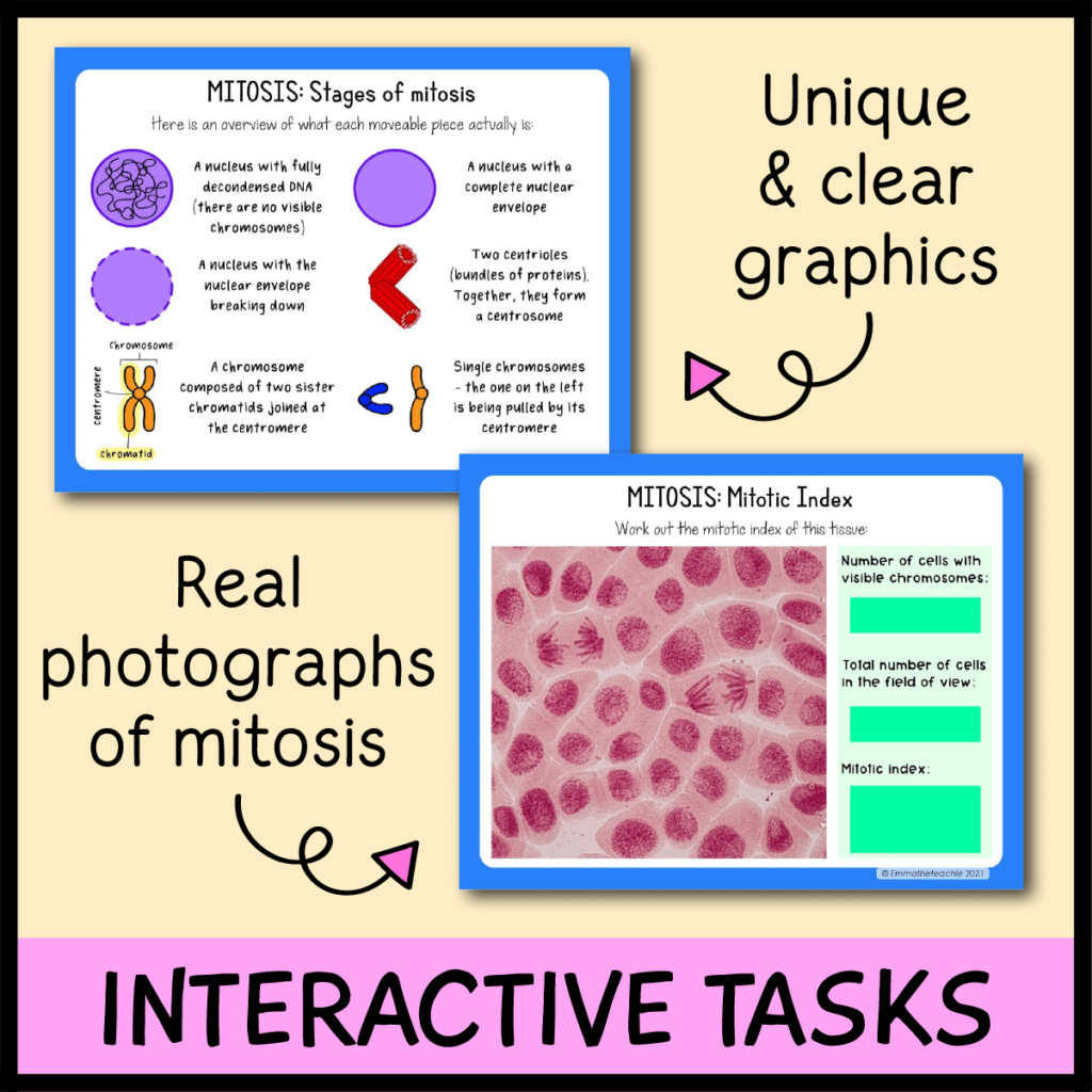 Mitosis Google Slides - Emmatheteachie