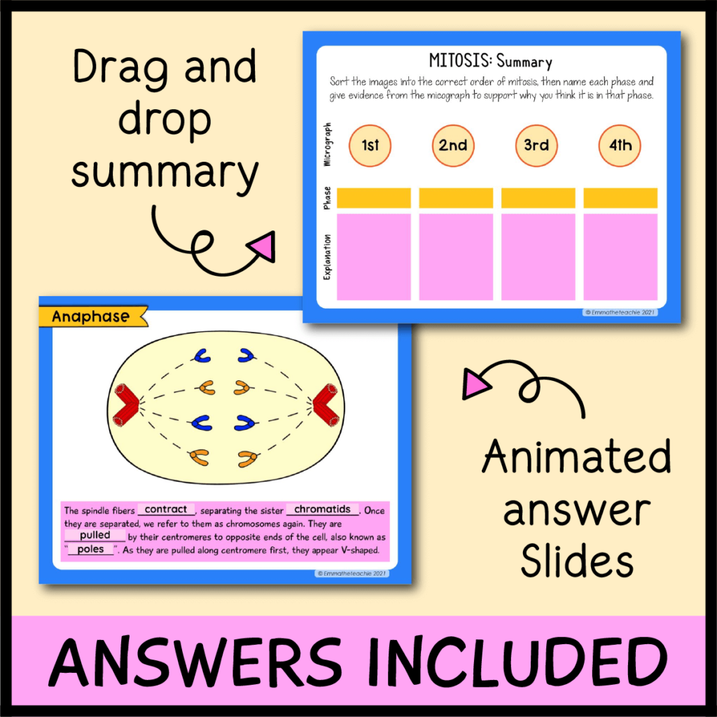 Mitosis Google Slides - Emmatheteachie