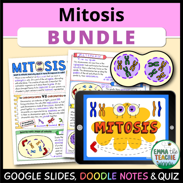 Mitosis Bundle - Emmatheteachie