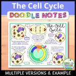Cell Cycle Doodle Notes - Emmatheteachie - Freebie