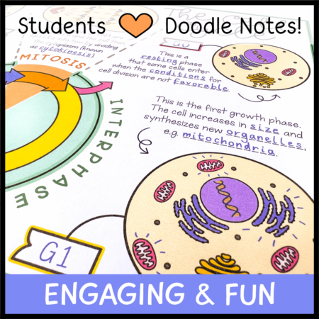 Cell Cycle Doodle Notes - Emmatheteachie - Freebie