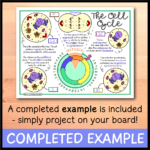 Cell Cycle Doodle Notes - Emmatheteachie - Freebie