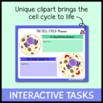 Cell Cycle Google Slides - Emmatheteachie