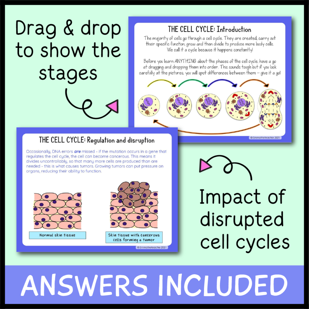 Cell Cycle Google Slides - Emmatheteachie