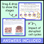 Cell Cycle Google Slides - Emmatheteachie