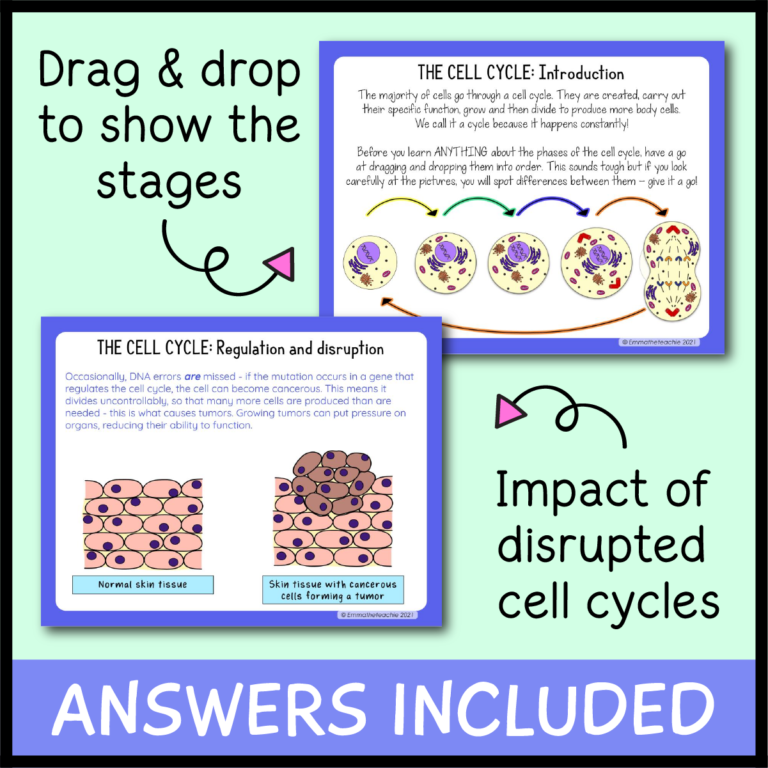 Cell Cycle Google Slides - Emmatheteachie