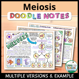 Meiosis Bundle - Emmatheteachie