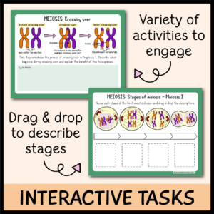 Meiosis Google Slides - Emmatheteachie