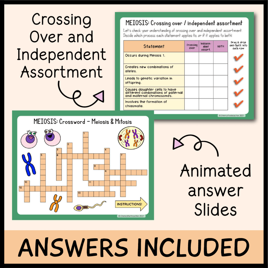 Meiosis Google Slides - Emmatheteachie