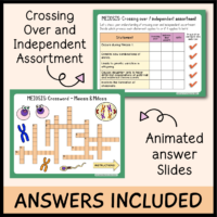 Meiosis Google Slides - Emmatheteachie