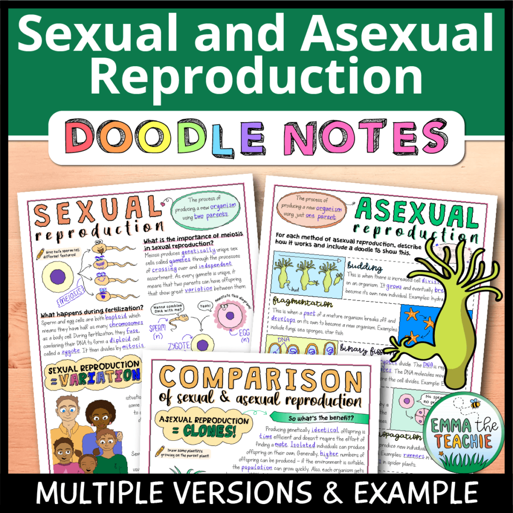 Sexual and Asexual Reproduction Doodle Notes - Emmatheteachie