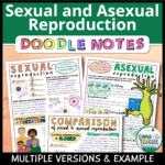 Sexual and Asexual Reproduction Doodle Notes - Emmatheteachie