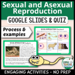 Sexual and Asexual Reproduction Google Slides - Emmatheteachie