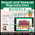 Sexual and Asexual Reproduction Doodle Notes - Emmatheteachie