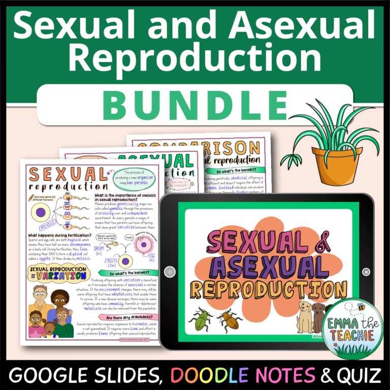 Sexual and Asexual Reproduction Doodle Notes - Emmatheteachie