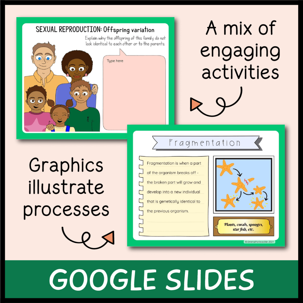 Sexual and Asexual Reproduction Bundle - Emmatheteachie