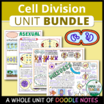 Cell Division Unit Bundle Doodle Notes - Emmatheteachie