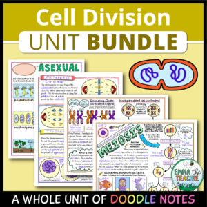 Cell Division Unit Bundle Doodle Notes - Emmatheteachie