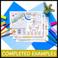 Cell Division Unit Bundle Doodle Notes - Emmatheteachie