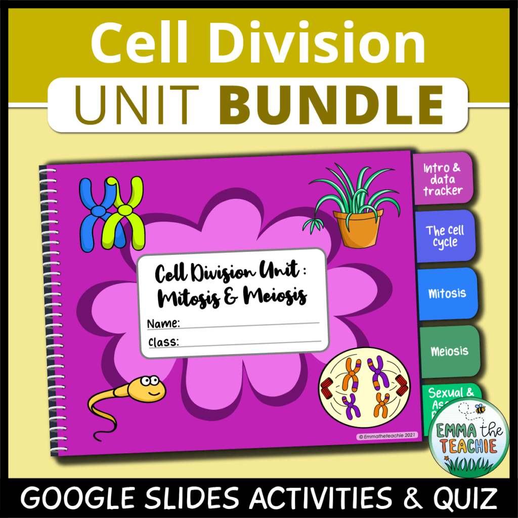 Cell Cycle Google Slides - Emmatheteachie