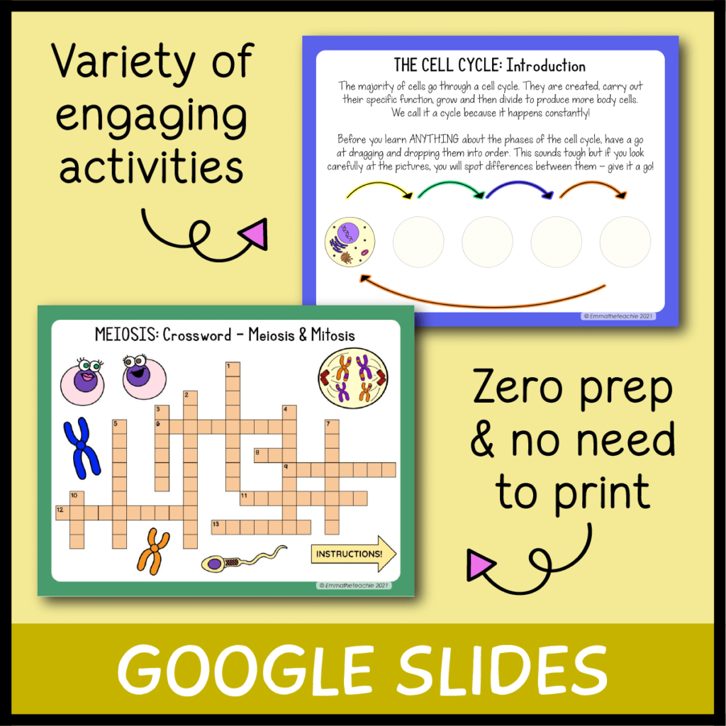 Cell Division Unit Bundle Google Slides - Emmatheteachie