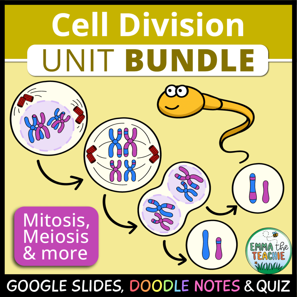 Cell Cycle Google Slides - Emmatheteachie