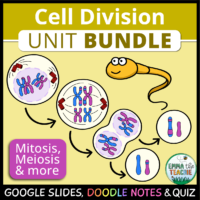 Cell Division Archives - Emmatheteachie