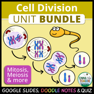 Cell Cycle Google Slides - Emmatheteachie