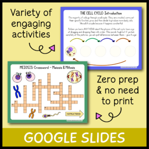Cell Division Big Unit Bundle - Emmatheteachie