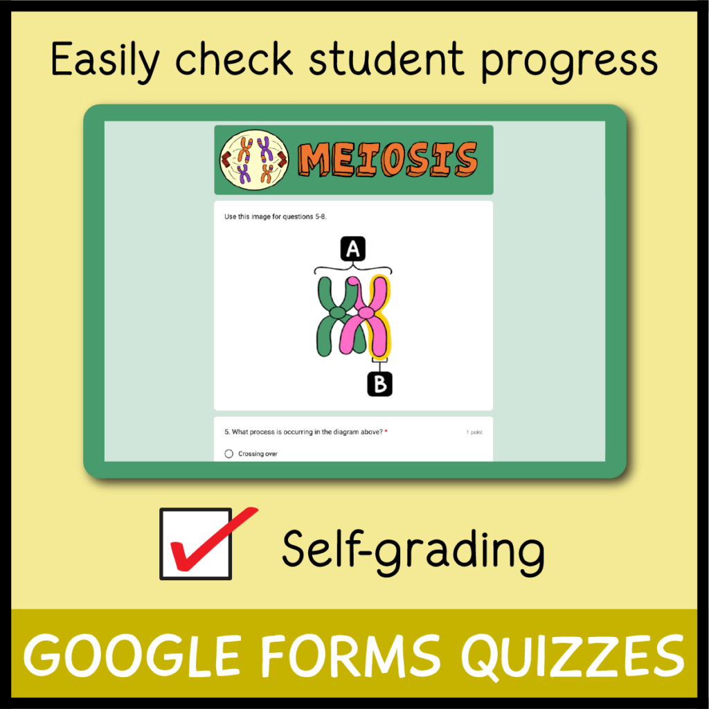 Cell Division Big Unit Bundle - Emmatheteachie