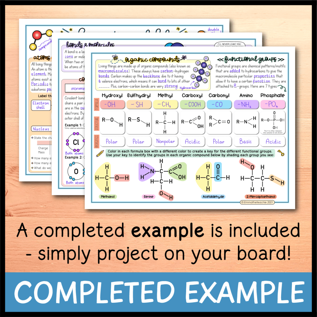 Chemistry of Life Doodle Notes - Emmatheteachie
