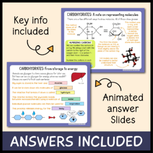 Carbohydrates Google Slides - Emmatheteachie