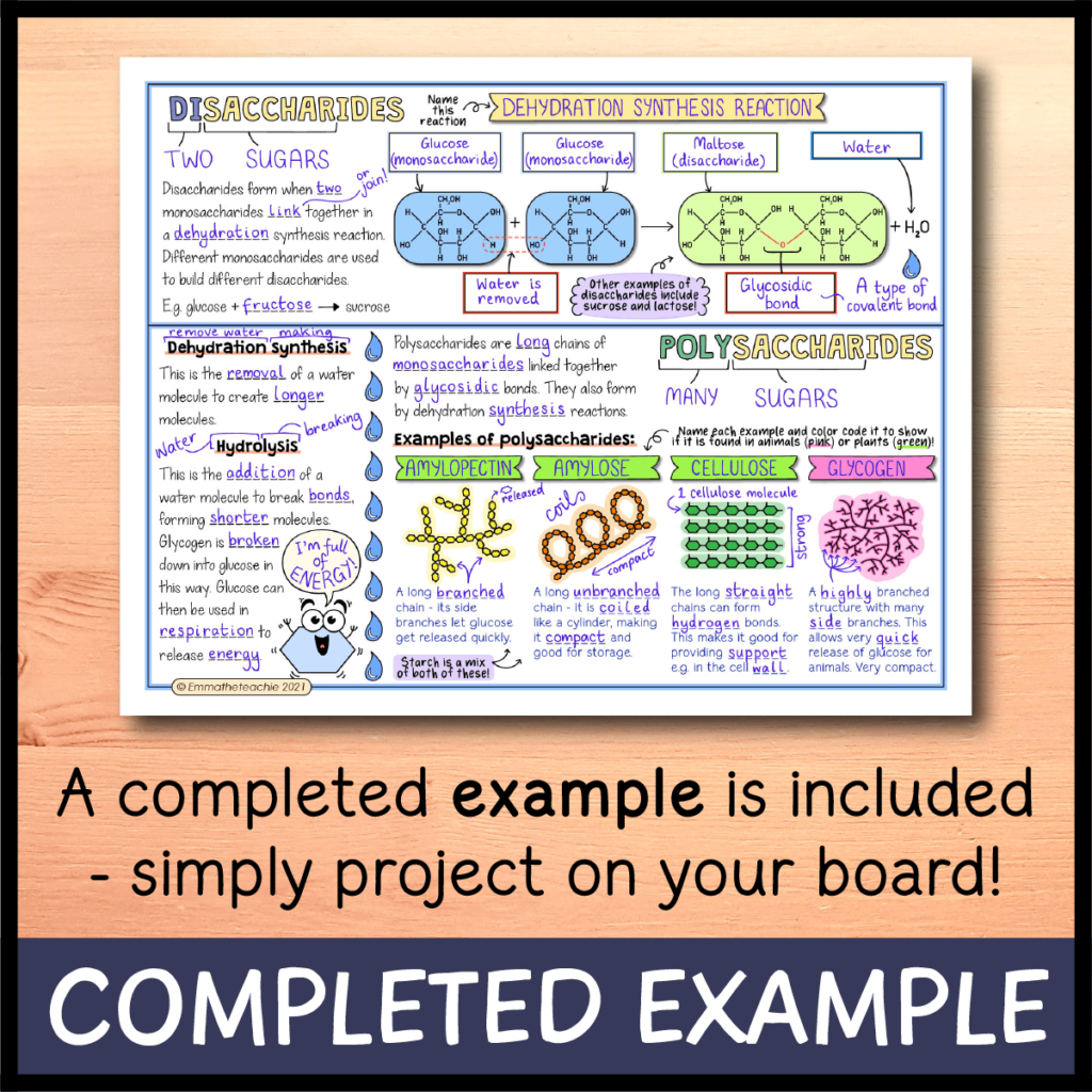 Carbohydrates Doodle Notes - Emmatheteachie