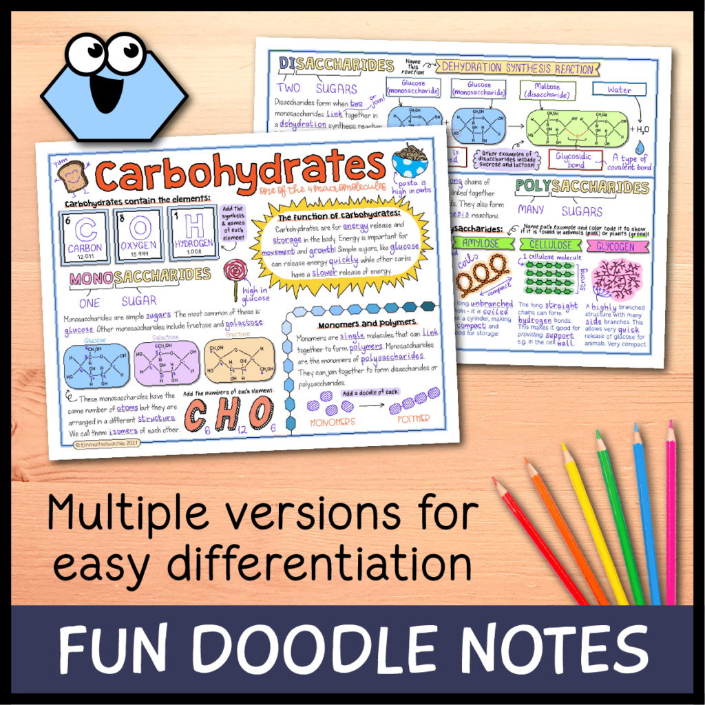 Carbohydrates Bundle - Emmatheteachie