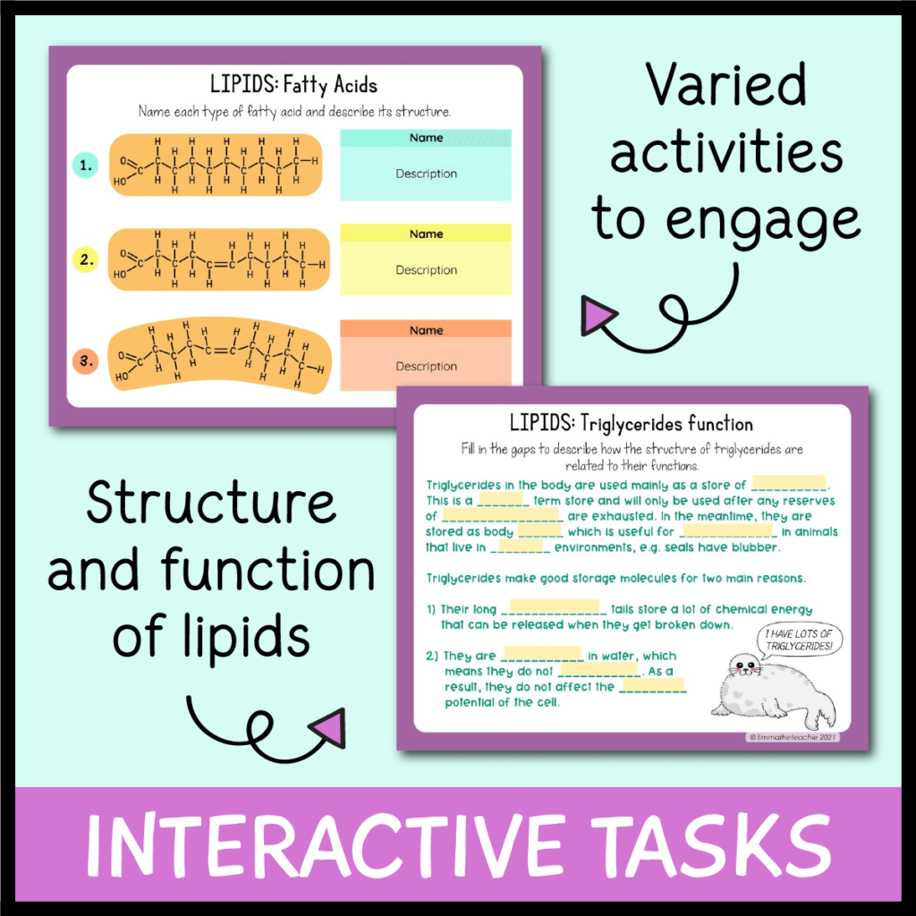 Lipids Google Slides - Emmatheteachie