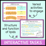 Lipids Google Slides - Emmatheteachie