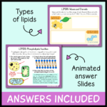 Lipids Google Slides - Emmatheteachie