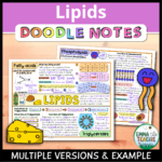 Whole Year of Biology Doodle Notes Bundle - Emmatheteachie