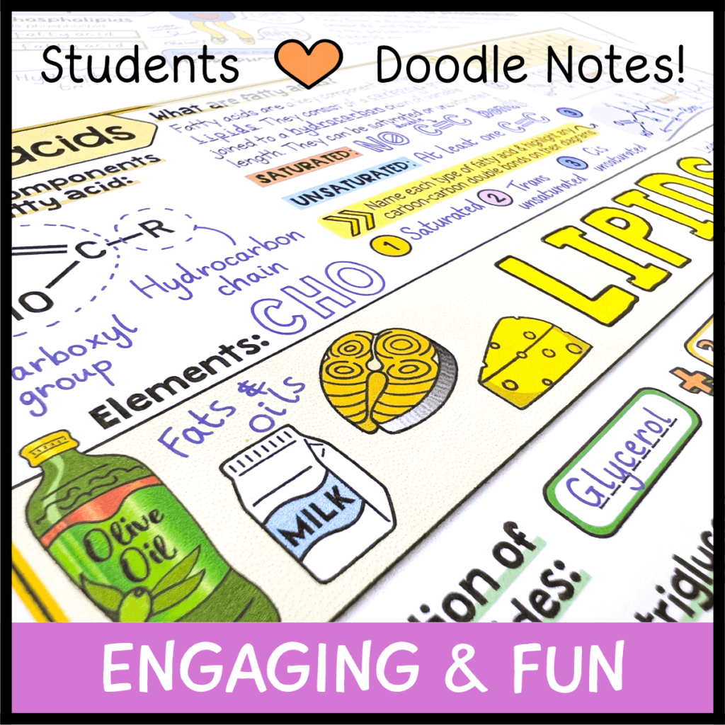 Lipids Doodle Notes - Emmatheteachie