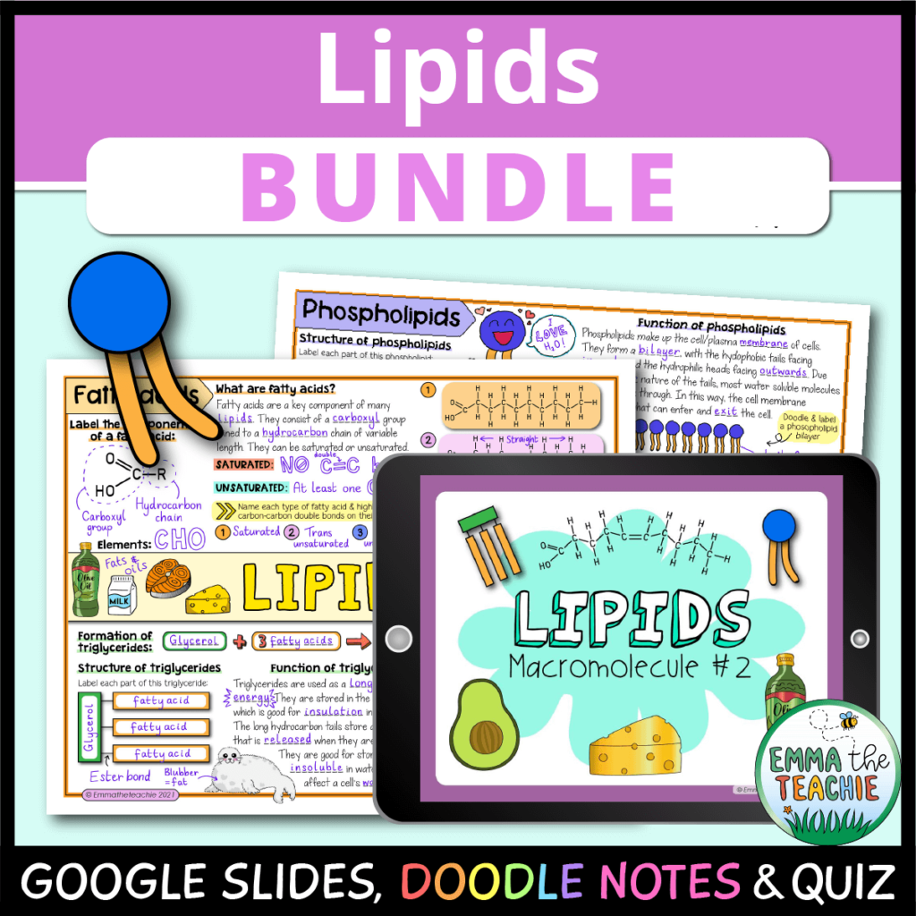 Lipids Bundle - Emmatheteachie