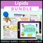 Lipids Doodle Notes Emmatheteachie