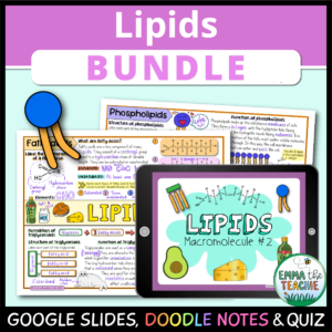 Lipids Doodle Notes - Emmatheteachie