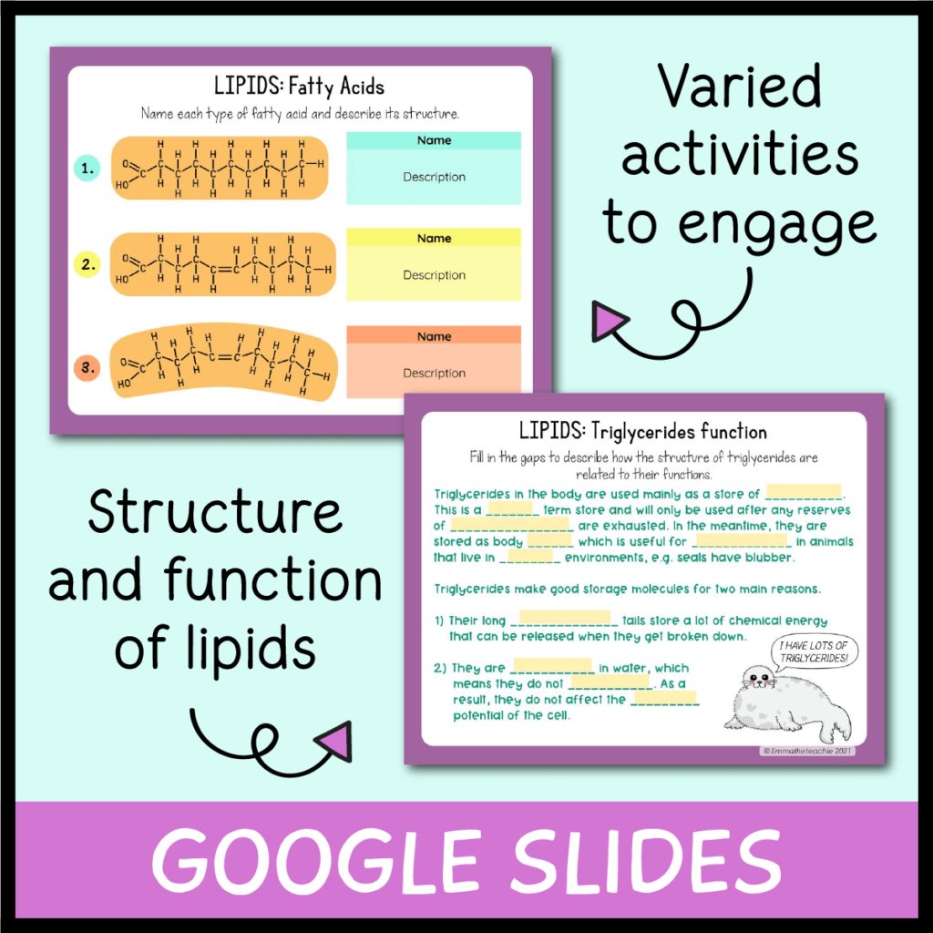 Lipids Bundle - Emmatheteachie