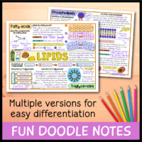 Lipids Bundle - Emmatheteachie