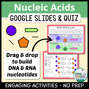Nucleic Acids Google Slides - Emmatheteachie