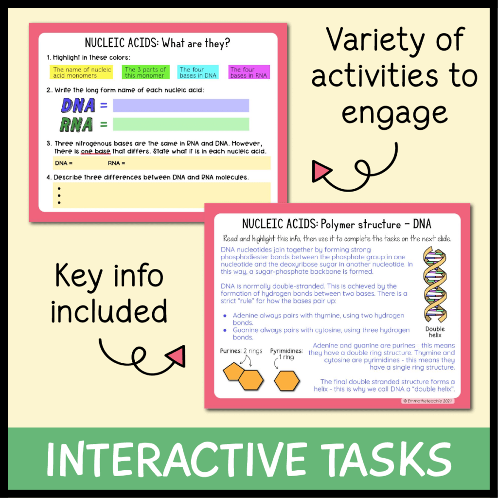 Nucleic Acids Google Slides - Emmatheteachie