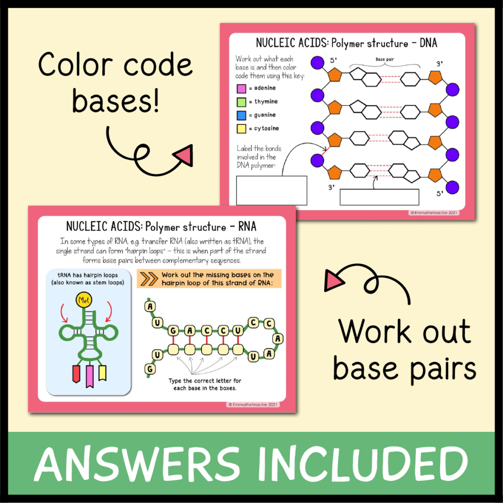 Nucleic Acids Google Slides - Emmatheteachie