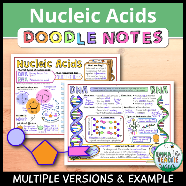 Nucleic Acids Doodle Notes - Emmatheteachie