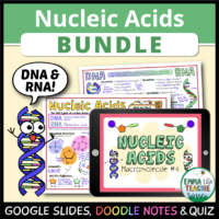 Nucleic Acids Bundle - Emmatheteachie